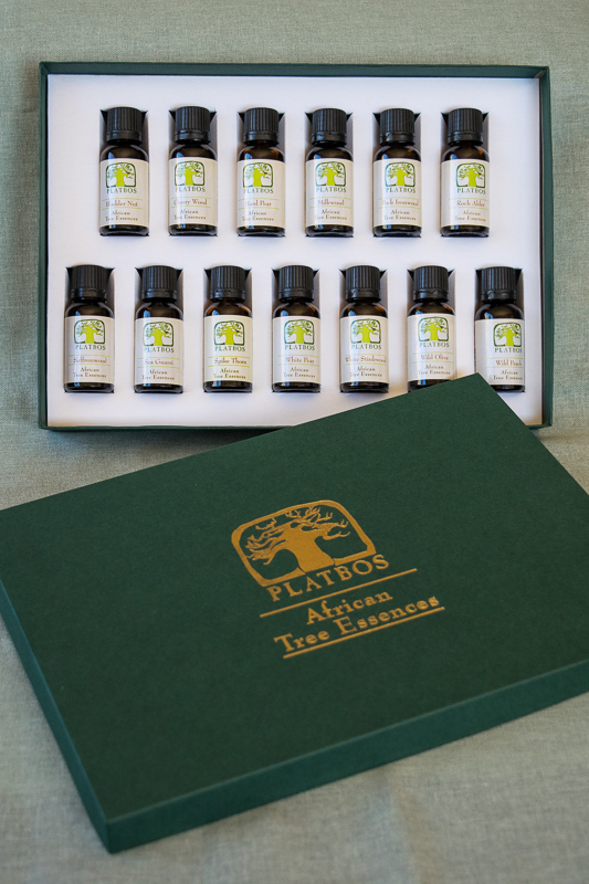 African Tree Essences – Platbos Forest
