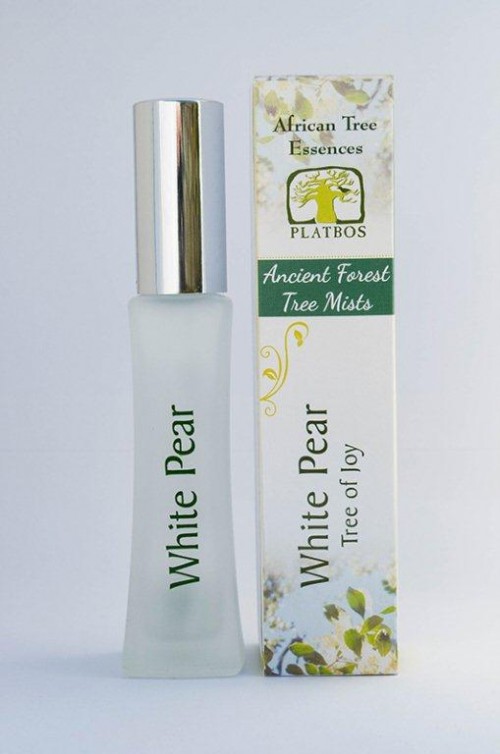 African Tree Essences – Platbos Forest